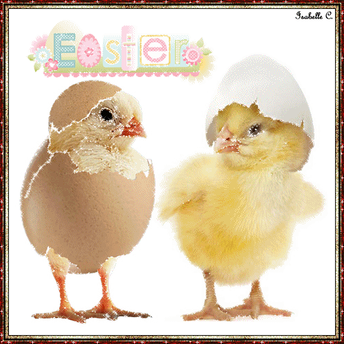 p ques poussin - Page 3