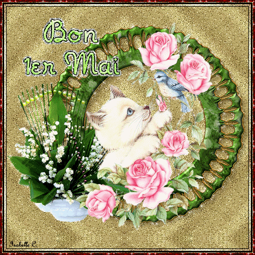 1er Mai - Chat - Oiseau